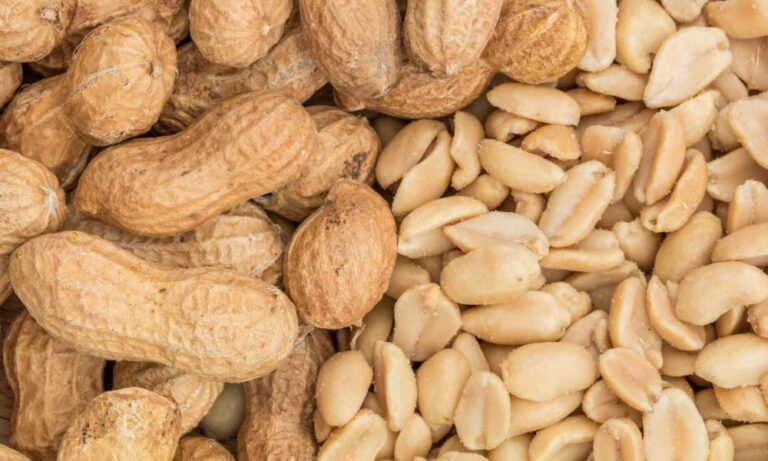 Crispy Jackfruit Carnitas - Allergy Associates of La Crosse