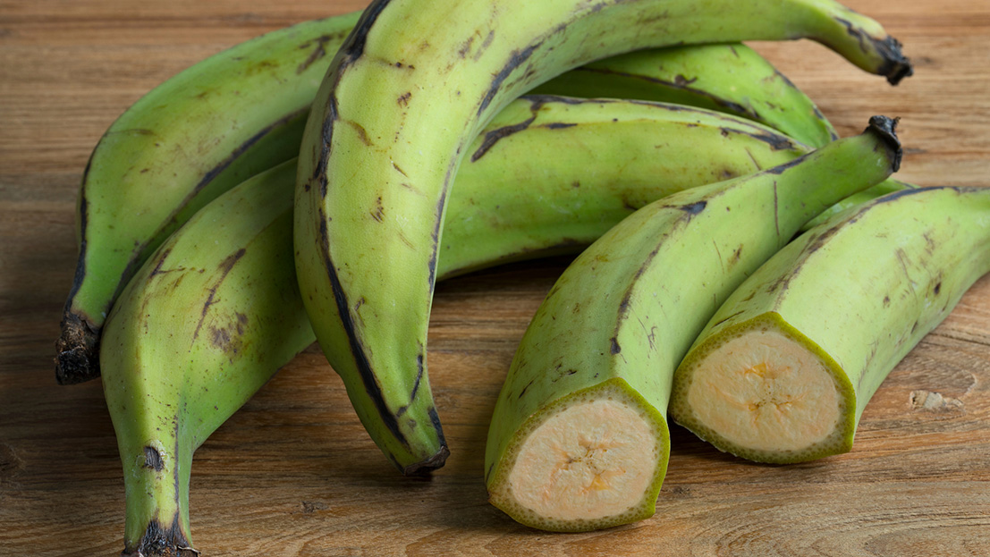 Plantain - Allergy Associates of La Crosse